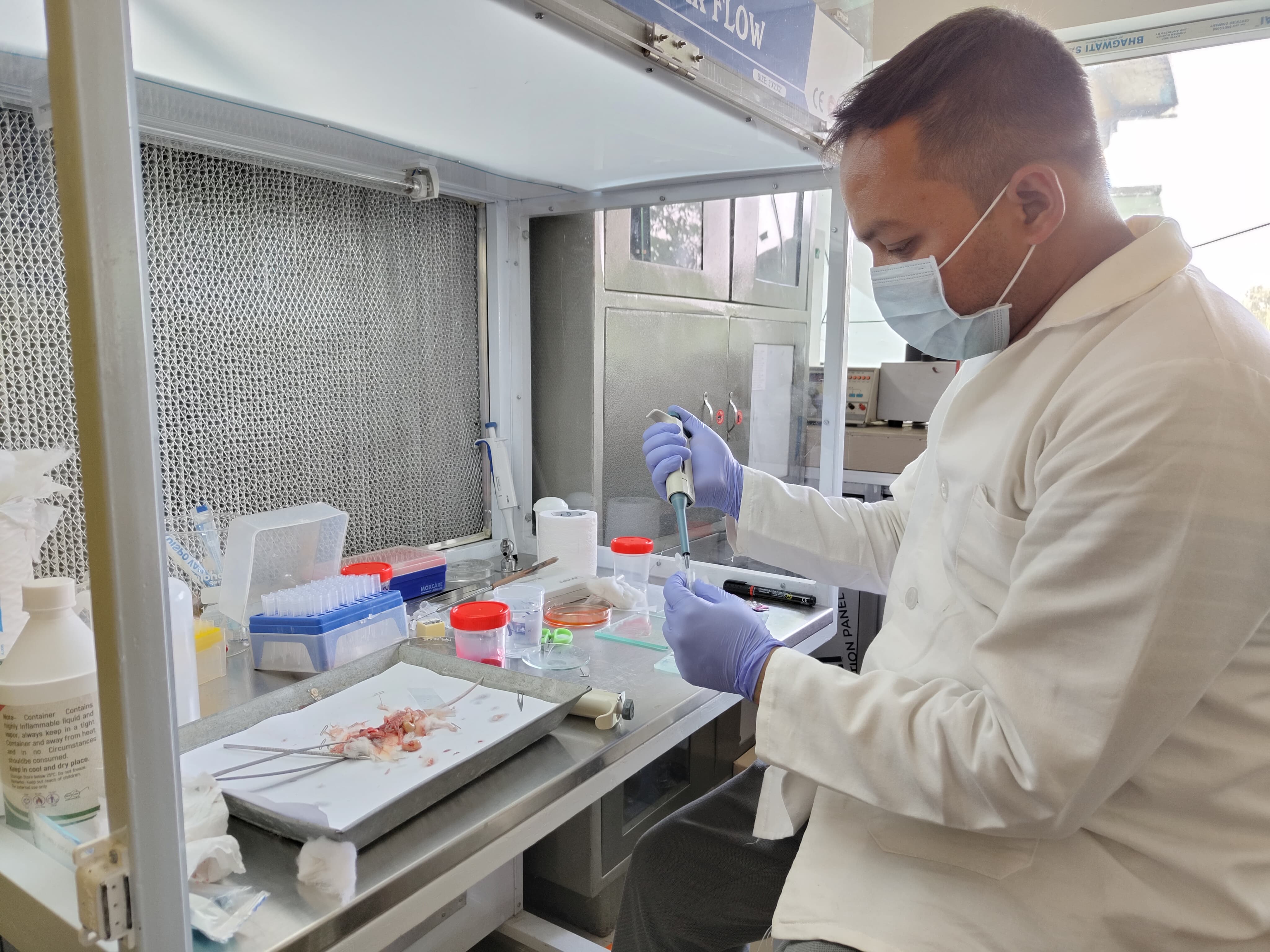 Institutional Biotech Hub | Chaiduar College